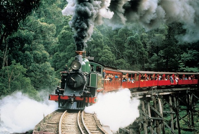 Half-day Puffing Billy Tour