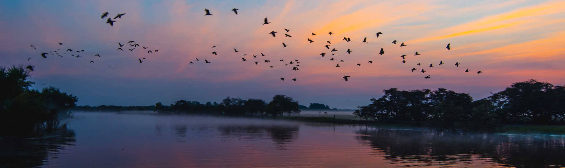 Kakadu Travel Guide | Things to Do & Attractions in Kakadu National ...